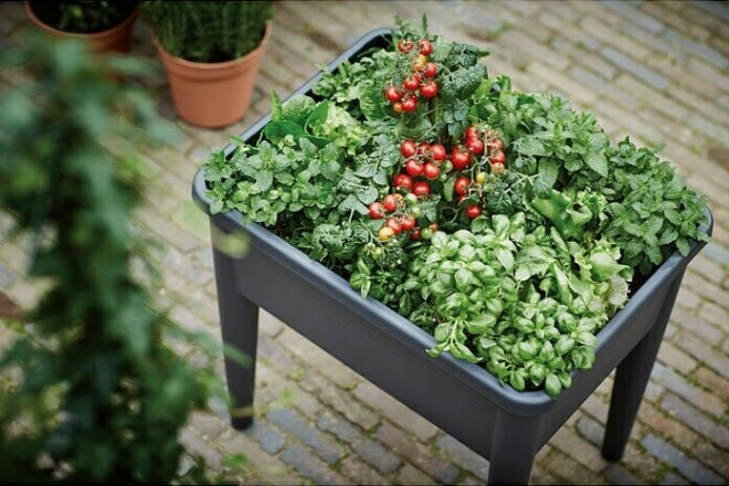 Kweekbakken | De Tuinwinkel Online